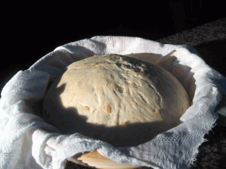 Levain Bread with Caramelized Onions | Bewitching Kitchen