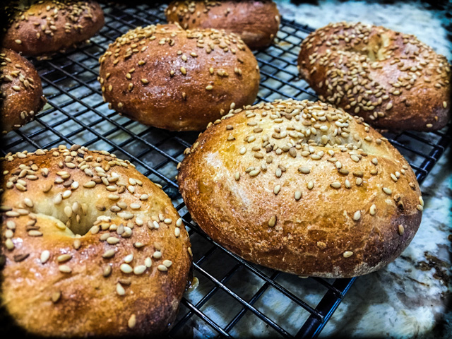 KA’KAT, A MIDDLE EASTERN SNACK BREAD | Bewitching Kitchen