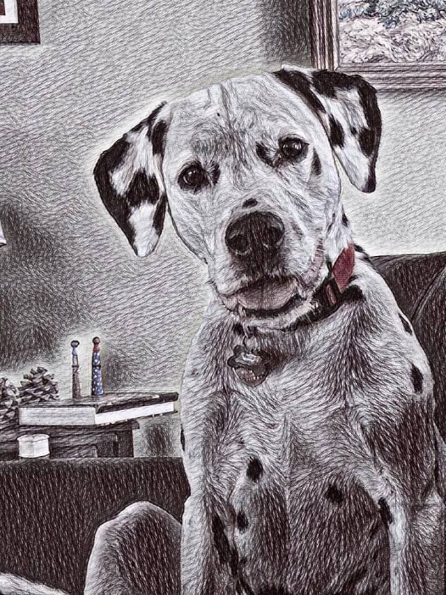 01 | October | 2017 | Bewitching Kitchen