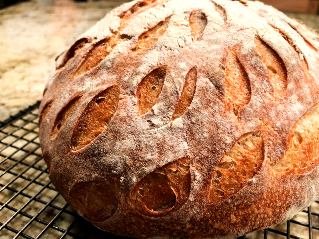 EMILIE RAFFA’S HIGH HYDRATION SOURDOUGH | Bewitching Kitchen