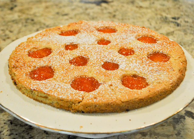 APRICOT LINZER TORTE | Bewitching Kitchen