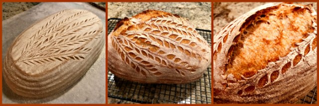 FUN WITH SOURDOUGH | Bewitching Kitchen