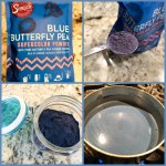 BLUE MOON MILK | Bewitching Kitchen