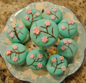 ISPAHAN MACARONS | Bewitching Kitchen