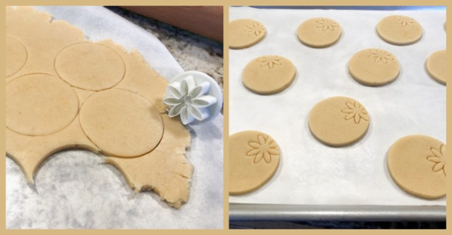 BUSY BEE SUGAR COOKIES | Bewitching Kitchen